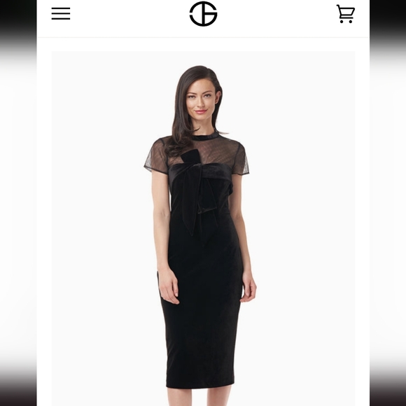 JS Collections | Dresses | Js Collections Illusion Yoke Velvet Dress ...
